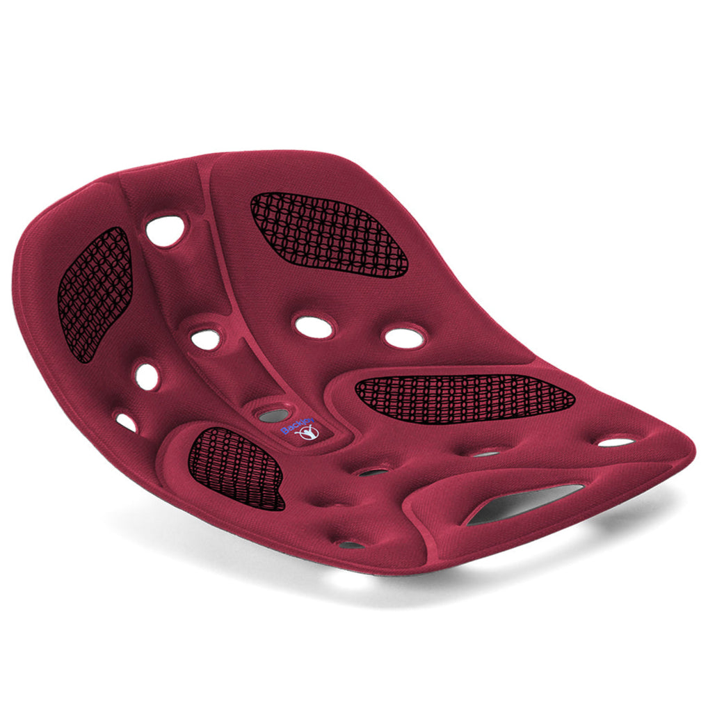 Back Pain Relief - Office Chair Back Support – The BackJoy Company