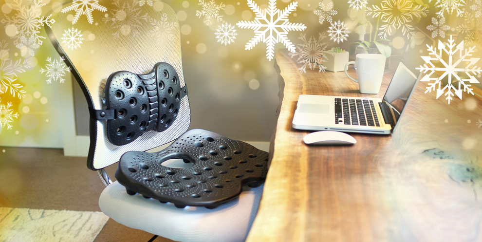 BackJoy SitzRight Seat Cushion – The BackJoy Company