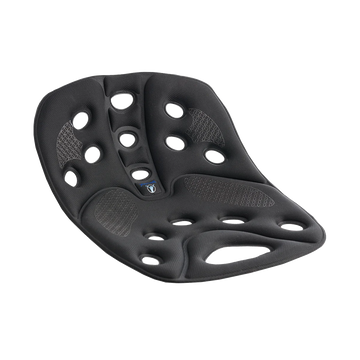 Products for Back Pain - Posture Support Products – The BackJoy Company