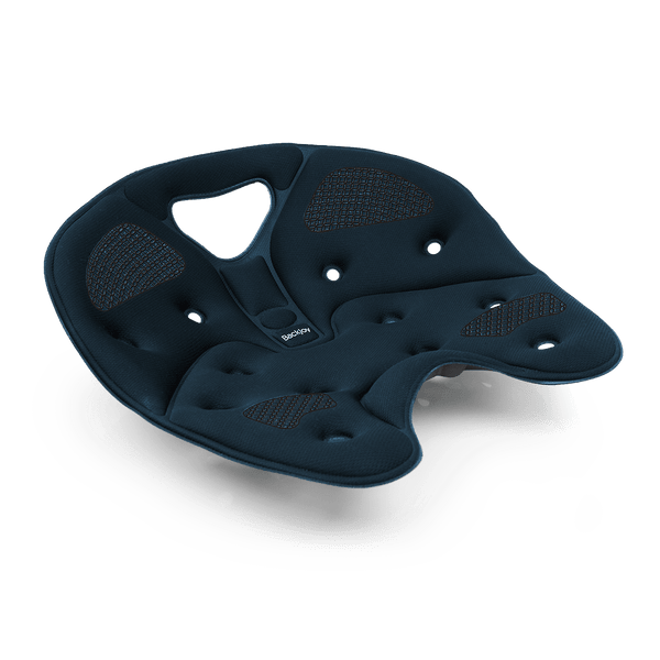 BackJoy SitSmart Posture Core – The BackJoy Company
