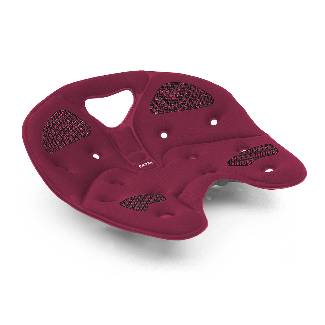 Products for Relieving Back Pain & Supporting Good Posture – The ...