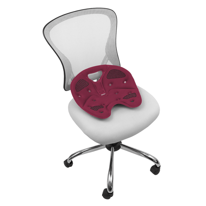 BackJoy SitSmart Posture Core